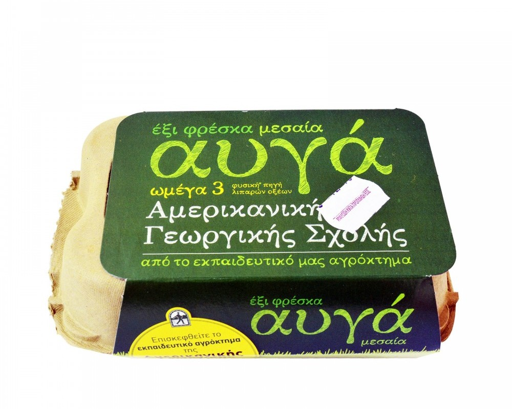 Αυγά ΑΜΕΡΙΚΑΝΙΚΗ ΓΕΩΡΓΙΚΗ ΣΧΟΛΗ Ω3 53/63gr 6τμχ