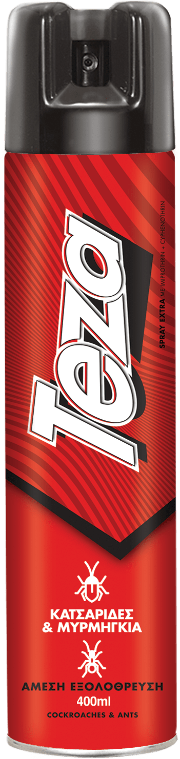 Εντομοκτόνο spray TEZA Extra 400ml